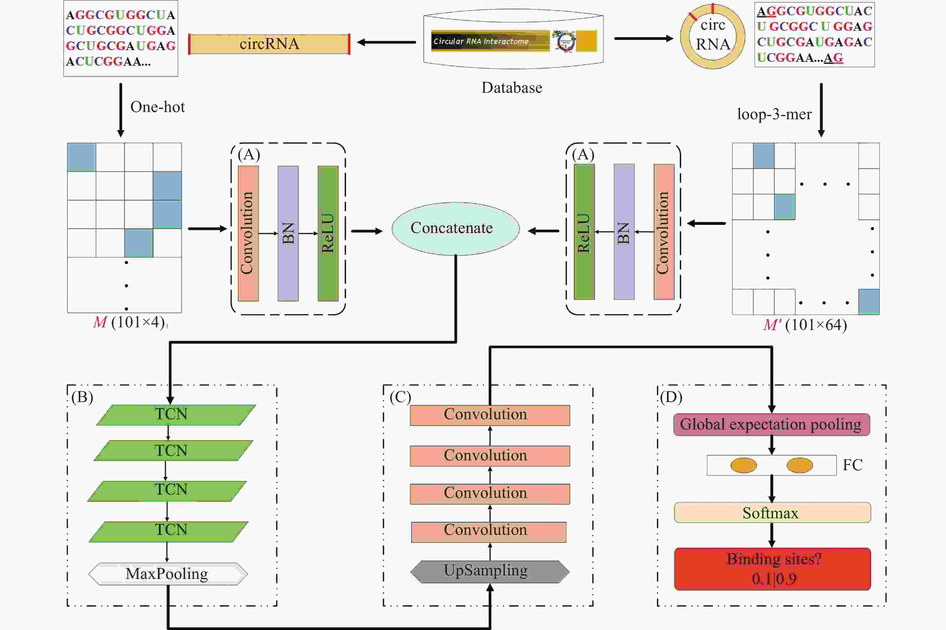 An Encoding Decoding Framework Based On Cnn For Circrna Rbp Binding